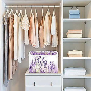 WELLDAY Lavender Flowers Storage Baskets Foldable Cube Storage Bin with Lids and Handle, 16.5x12.6x11.8 In Storage Boxes for Toys, Shelves, Closet, Bedroom, Nursery