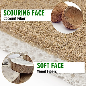 Natural Kitchen Sponge (6 Pack) for Cleaning Dish, Glass, Ceramic, Stove, Fruit, BBQ Rack, Kitchenware, Nature Made Multipurpose Sponges for Sustainable Living