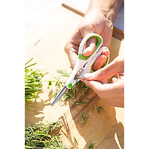 ZYLISS Herb Scissors - Trimming Weeds and Flower Buds 8.5 x 4.2 x 0.4 inches