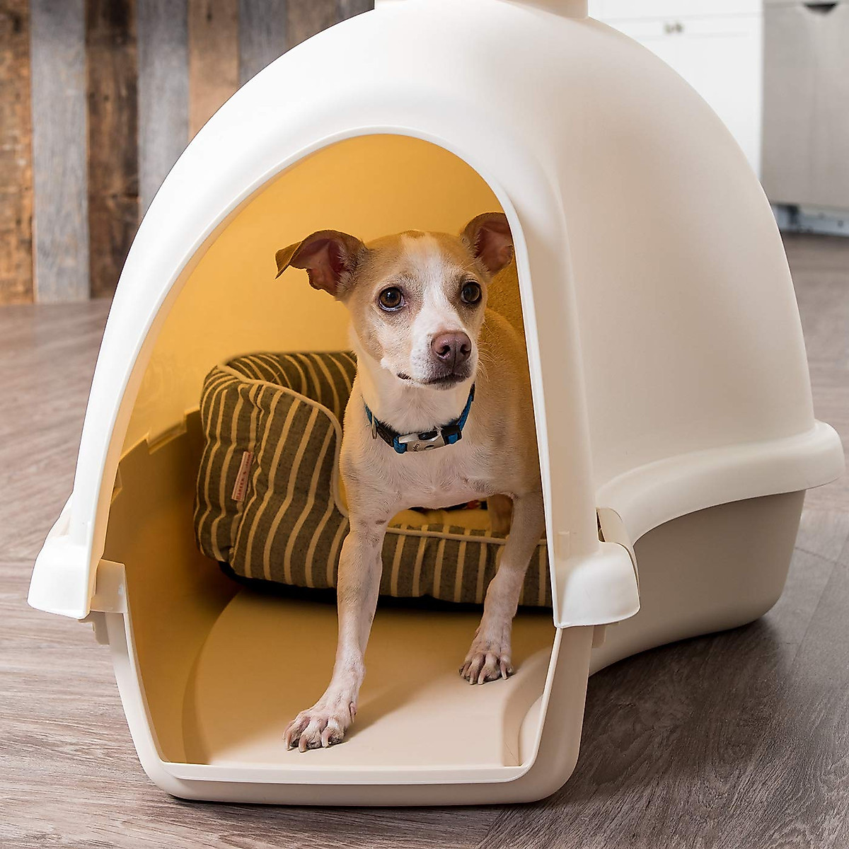IRIS USA Large Igloo Shaped Dog House, White/Almond