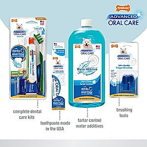 Nylabone Advanced Oral Care Finger Brush 2 Count One Size