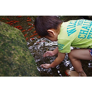 Pentax K-50 DSLR Camera with 18-55mm WR and 55-300mm Lenses - International Version