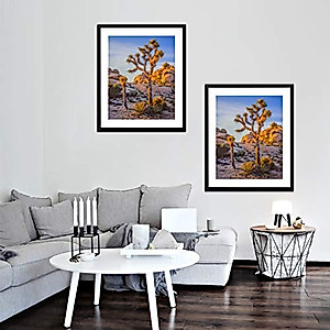 A PLUS MAX 20x24 Picture Frame, Black 20x24 Frame for 16X20 Photo (20x24 without Mat), Hangers for Horizontal or Vertical Display, Pack of 2