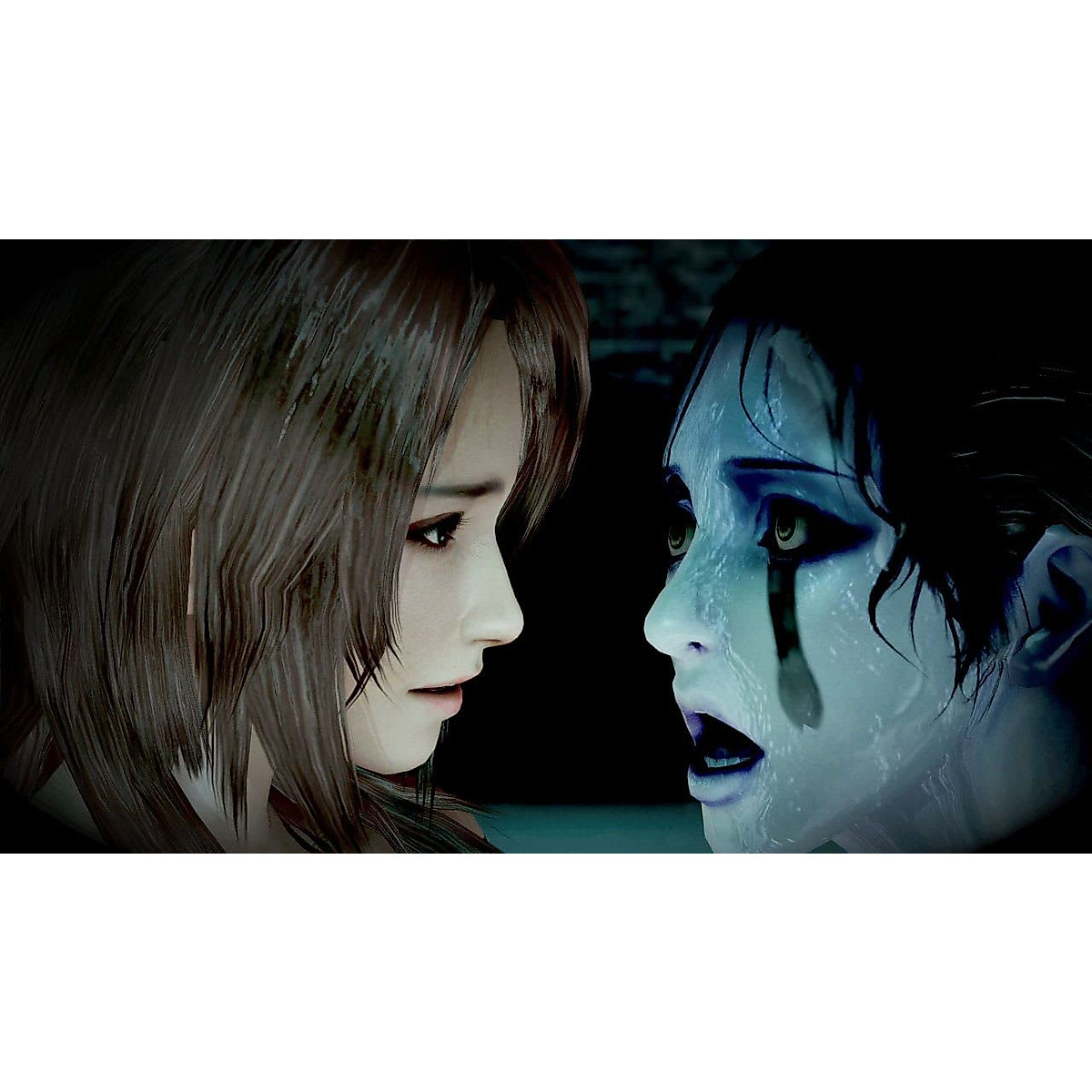 Fatal Frame: Maiden of Black Water - Nintendo Switch