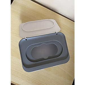 FENYZRUI Plastic Storage Containers for Household Or Domestic use Strong Plastic Rectangular with Lid Suitable for Dryer Sheet, 7.24" X 4.88" X 2.95" Gray 1 Pcs