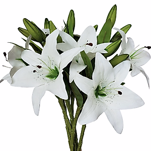 NC Artificial Tiger Lily 6PCS, Wedding Home Photography Decoration Fake Flower Party Family Hotel Office Garden Shop Real Touch Dining Table, White