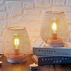 TRIROCKS Set of 2 Medium Battery Powered Outdoor Lantern 6.5'' High Metal Cage Table Lamp with LED Edison Bulb for Home Wedding Parties Patio Event Indoor Outdoor(Pink)