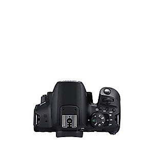 Canon EOS Rebel T8i Body, Black