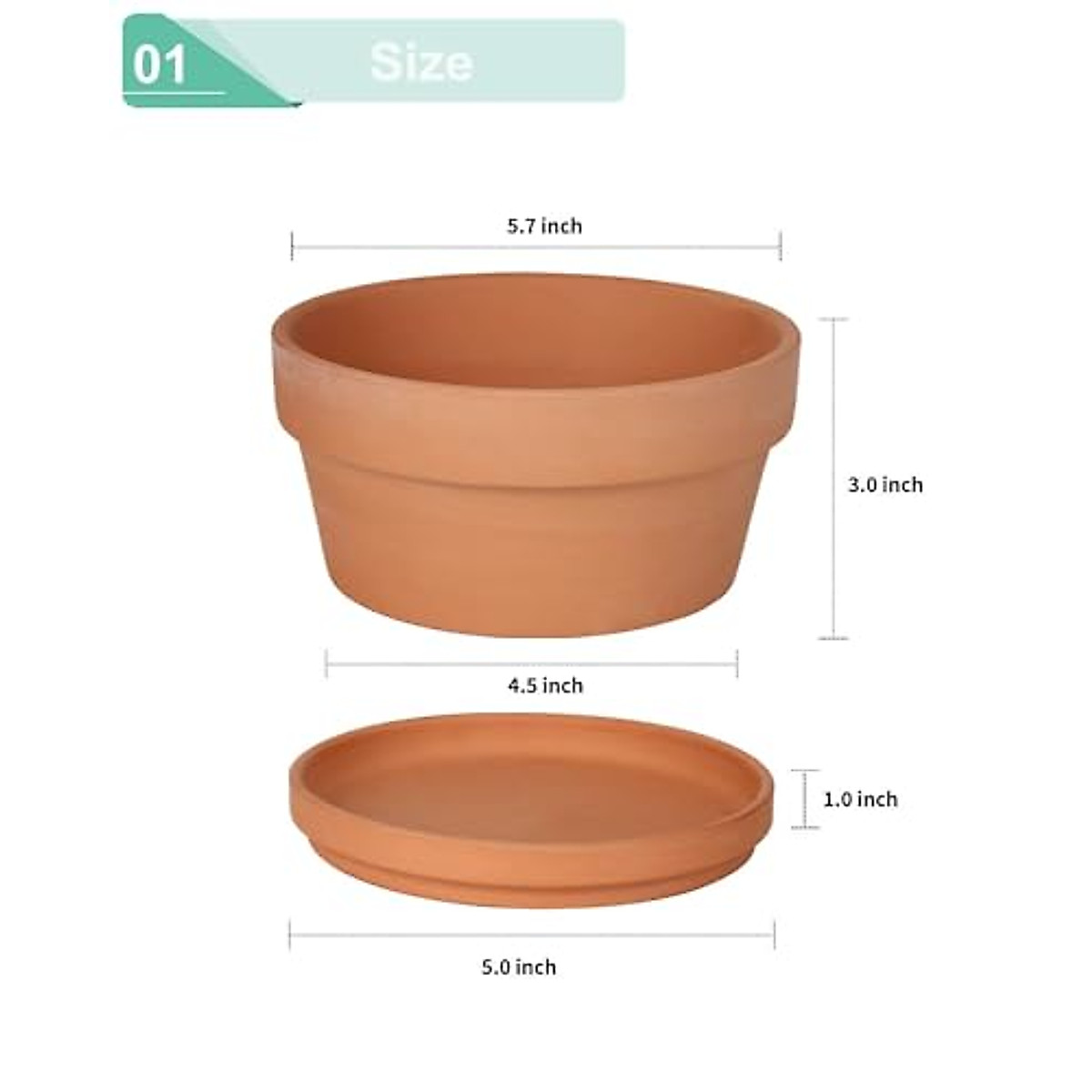 vensovo 5.7 Inch Terracotta Shallow Succulent Pot - 6 Pack Terra Cotta Clay Pots with Saucer, Cacuts Terra-Cotta Indoor and Outdoor Planters with Drainage Hole