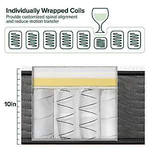 ZINUS 10 Inch True Support Hybrid Mattress [New Version], Twin, Fiberglass Free, Medium Feel, Motion Isolation, Certified Safe Foams & Fabric, Mattress in A Box