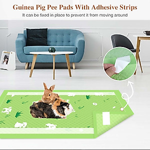Guinea Pig Cage Liner 30 Count Disposable Super Absorbent Pee Pads Enhanced Odor Control Pet Cage Liners for Ferrets, Rabbits, Hamsters, and Other Small Animal, 28" x 17" Fits Any Size C&C Cage