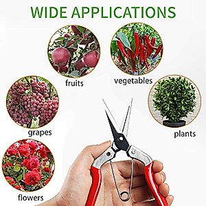GARTOL Micro-Tip Pruning Shears, Hand Pruner Snips Florist Garden Scissors with Silicone Protective Sleeve, Perfect for Cutting Buds, Flowers, Vegetables and Picking Fruit, Trimming Plants(2 Pack)