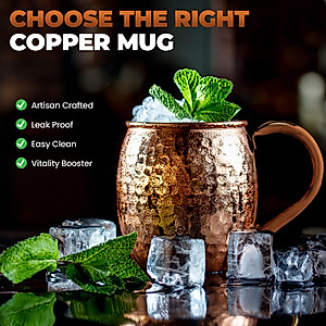 Moscow Mule Cups Set of 4 | 100% Pure Copper Food Safe 16oz Copper Cups with 4X Copper Straws and 1x Copper Jigger - Premium Moscow Mule Mugs