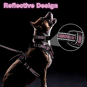 WINSEE Pet Harness Collar and Leash Set, All-in-one Reflective Dog Harness No Pull with Adjustable Buckles for Puppies, Small, Medium, Large, and Extra-Large Dogs (Large, Pink)