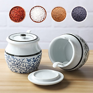 Evannt Ceramic Salt Cellar with Lid and Spoon, Salt and Pepper Bowls Set of 2 Porcelain Condiment Jars Spice Container Salt Spice Seasoning Box (Pattern 1#)