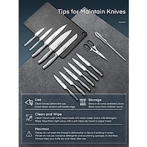 D.Perlla Knife Set, 14 Pieces Kitchen Knife Set with Clear Acrylic Knife Holder, Stainless Steel Super Sharp Chef Knife with Hollow Handle in One Piece Design