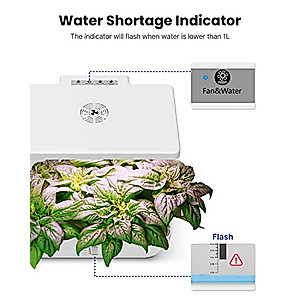 iDOO WiFi 12 Pods Hydroponic Growing System with 6.5L Water Tank, Smart Hydro Indoor Herb Garden Up to 14.5", Plants Germination Kit with Pump System, Fan, Grow Light for Home Kitchen Gardening, White