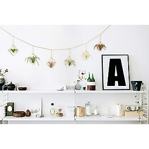 Dahey Gold Geometric Hanging Air Plant Holders - Set of 6 Square Metal Planters with Chains for Indoor Wall Decor