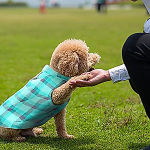 4 Pieces Winter Fabric Dog Sweater with Leash Ring Fleece Vest Dog Pullover Jacket Warm Pet Dog Clothes for Puppy Small Dogs Cat Chihuahua Boy (Plaid Pattern, M)