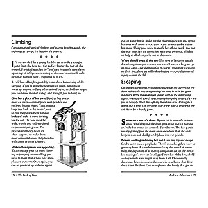 The Book of Cats: House Cats, Big Cats, Black Cats, Poetic Cats: History, Breeds, Tricks, Trivia, Stories, and More!