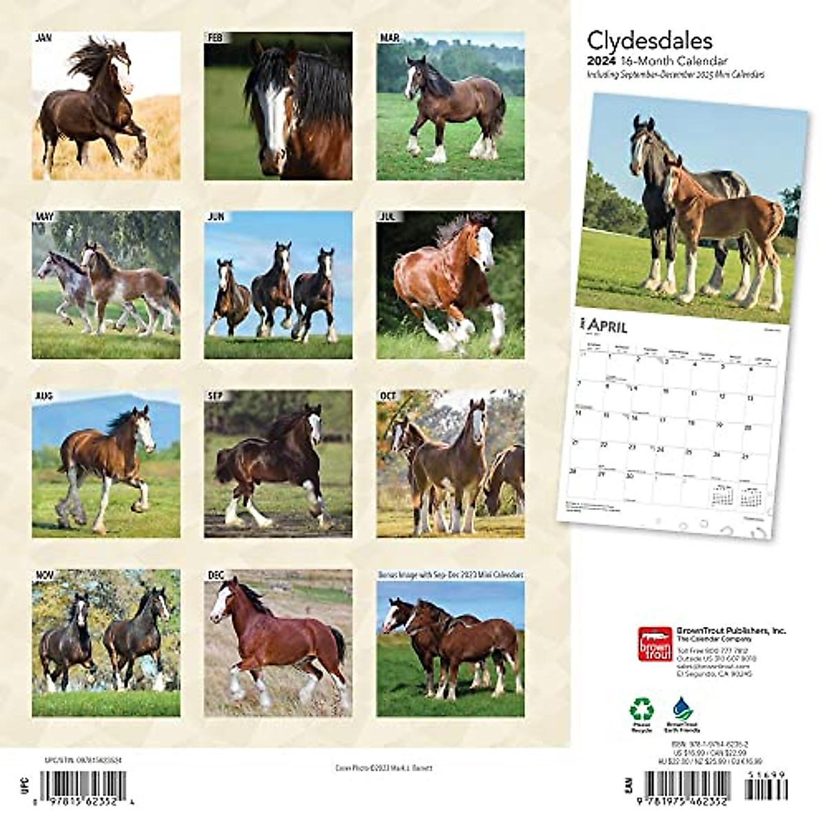 Clydesdales | 2024 12 x 24 Inch Monthly Square Wall Calendar | BrownTrout | Animals Horses
