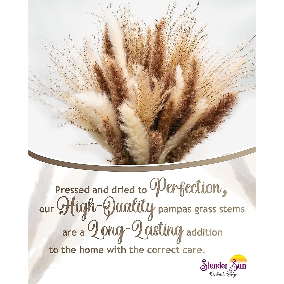 Spear SLENDERSUN Orchid Bouquet Dried Pampas Grass – Pack of 60 Pcs Tall Stems (17,7”) Soft & Fluffy Floral Bouquets Minimalist, Rustic, Luxury Home Garden Décor, White, Brown, Reed