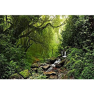 LFEEY 10x8ft Graceful Natural Scenery Backdrop Evergreen Forest Jungle Rock Flowing Mountain Stream Rainforest Photography Background Birthday Party Events Photo Studio Props