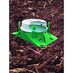 Terro 1806 Outdoor Liquid Ant Baits, 1.0 fl. oz. - 6 Count - 2 Pack