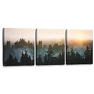Forest Bathed in Sunlight Canvas Print Picture Painting Wall Art for Bedroom Living Room Framed 3 Piece Artwork Wall Decor for Bathroom Modern Room Plants Wall Decorations Size 12x16x3 Ready to Hang