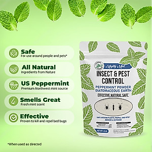 Mighty Mint Insect & Pest Control, Diatomaceous Earth Peppermint Powder, 1 lb