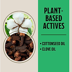 Grandpa Gus's Natural Advanced Pest Killer Concentrate, Plant-Based Actives Quick Kill Multiple Insect Species, Indoor & Outdoor Use, Light Scent, 3.7 fl oz (Pack of 2)