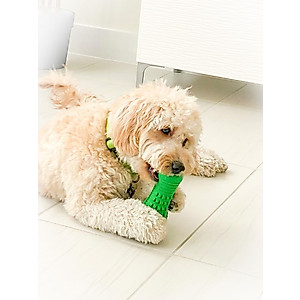 SINCREX USA Dog Toothbrush Dental Chew Crocodile Dog Toy, Teeth Cleaning, Teething Aid, The Best Indestructible Dog Toy for Aggressive Chewers, Dog Chew Toy for Medium to Large Dogs (Green)
