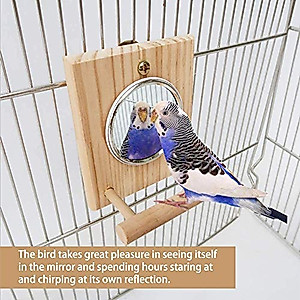 Hamiledyi Bird Mirror with Wooden Perch,Birdcage Fun Platform Stand Toys