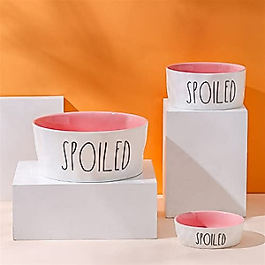 FUUIE Bowls for Food and Water Large Capacity Cat Ceramic Bowl Big Dog Food Water Feeder Pet Drink Eat Feeding Accessories Puppy Kitten Dish Bowls (Color : Blue)