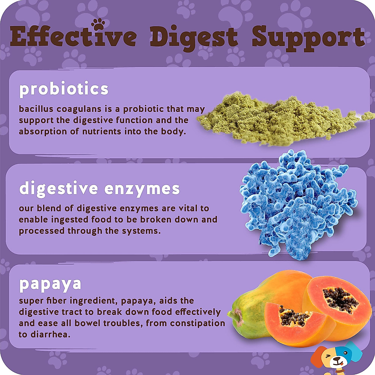 Jack&Pup Bundle - Bully Sticks + Pro-Digest Supplements | 6-Inch Odor Free [Thick Size] Bully Sticks (5 Pack) | Pro-Digest Probiotics for Dogs (60 Chews)