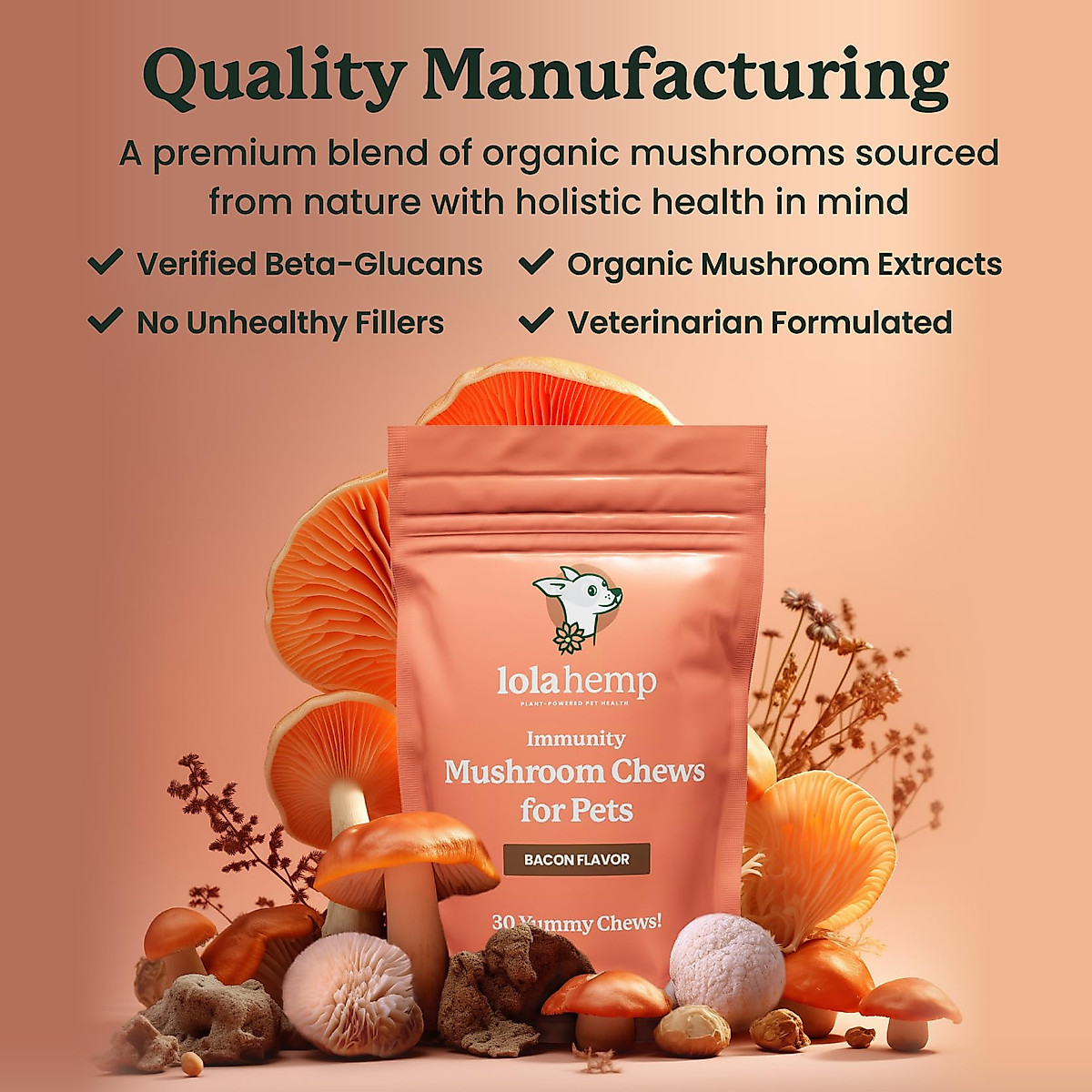 Lolahemp Mushroom Supplement for Dogs - Tasty Chews with Organic Mushroom Complex for Immune System & Cognitive Health - Turkey Tail, Reishi, Shiitake, Maitake & Lion's Mane