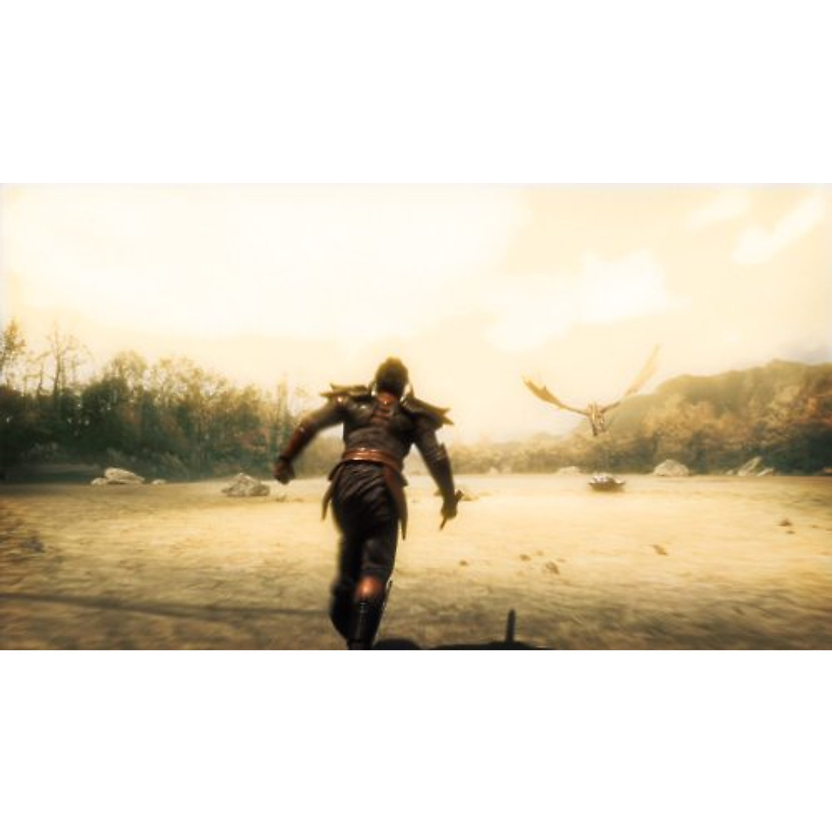 Divinity II: The Dragon Knight Saga