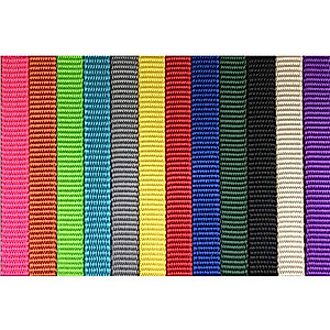 Puppy ID Collar Identification Soft Nylon Adjustable Breakaway Safety Whelping Litter Collars for Newborn Pets with Record Keeping Charts 12pcs/Set (S)