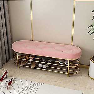 LDCHNH Shoe Stool with 2 Layers Shoe Rack Shelf Sofa Cushion Entrance Door Shoe Cabinet Shoe Stool Storage Stool (Color : D)