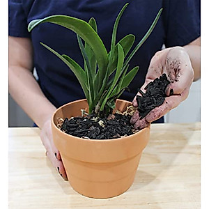 Horticultural Charcoal for Indoor Plants (4 Quarts), Hardwood Soil Amendment for Orchids, Terrariums, and Gardening