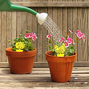 ALLRoad 24 pcs Fruit Fly Trap, Gnat Killer Dual-Sided Yellow Sticky Traps for Kitchen Indoor/Outdoor Use - Insect Catcher for White Flies, Mosquitos, Flying Insects, Fungus Gnats