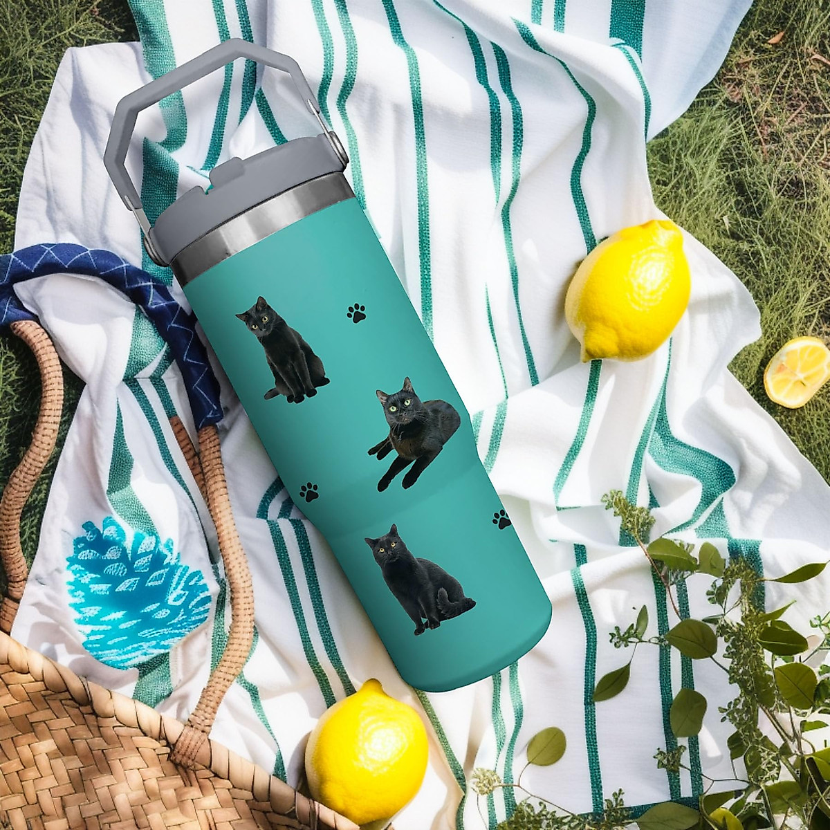 30oz Stainless Steel Vacuum Insulated Water Bottle (Cat-Blue)