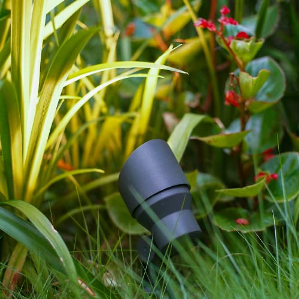 VENUS MANUFACTURING 6 Pack Low Voltage Landscape Spotlight 3W LED Outdoor Landscape Lighting Kits 200 Lumen Black Waterproof Flood Lights 12V 3000K Warm White Metal Tree Lights for Garden & Yard