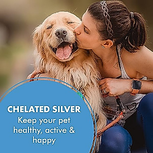 PetSilver Wound Gel with Complex AG21 | Chelated Silver 200 ppm | Dog & Cats |Wounds | Hot Spots | Itches | Skin Irritations | Burns | Rashes | Sores | Homeopathic | 4oz