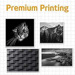 CG CHINGER TN450 Compatible Toner Cartridge Replacement for Brother TN450 TN420 TN-450 Used with HL-2270DW HL-2280DW HL-2230 HL-2240 MFC-7360N MFC-7860DW DCP-7065DN Intellifax 2840 2940 (2 Black)