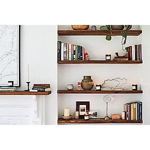 Paddywax Scented Candles Library Charles Dickens Luxury Artisan Candle, 6.5-Ounce, Tangerine, Juniper & Clove