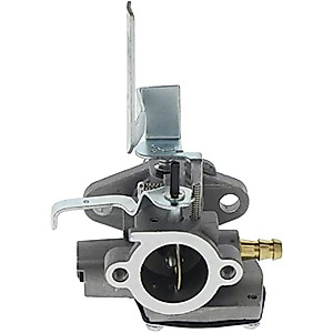Chacarbtu Carburetor 640290 for Tecumseh 640263 631720A 631720B AV520 TV085XA Engines