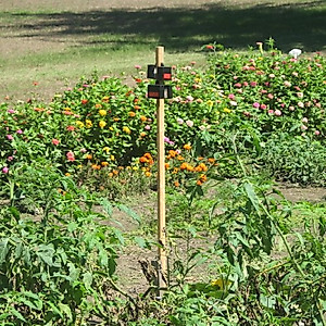 Nite Guard Solar NG-001 Predator Control Light,Single Pack, Black