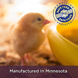 Dr. Connie's Probiotic + Electrolyte for Farm Animals | Supplement to Support A Healthy Gut | Veterinarian Formulated