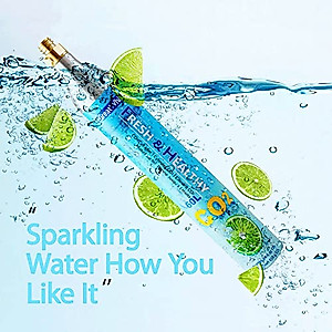 GreatWhip 60L CO2 Cylinder For Sodastream, Exchange Carbonator Compatible With SodaMaker Appliances, Set of 2